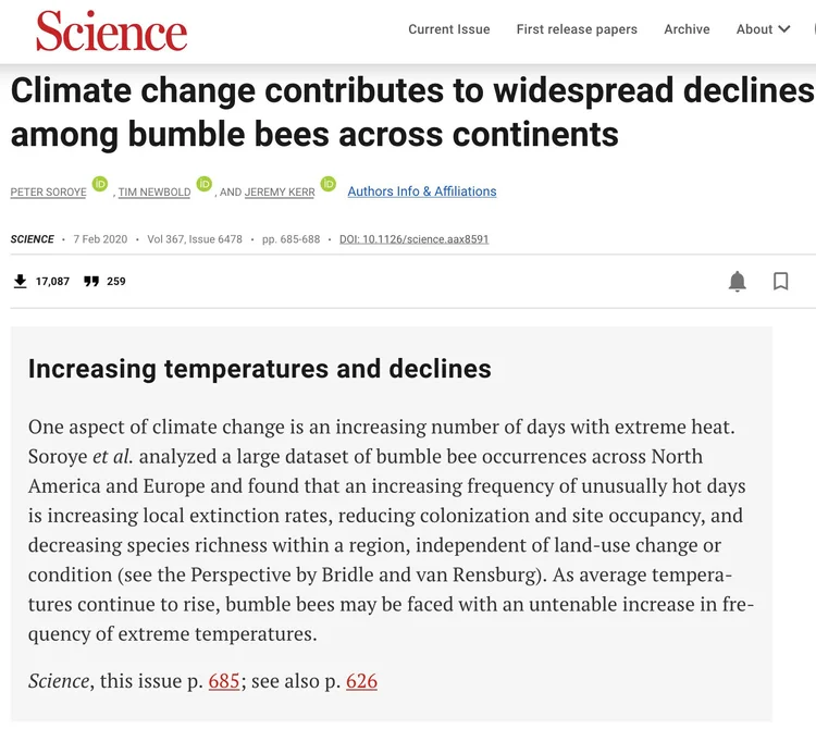Lab Values — Macroecology & Conservation